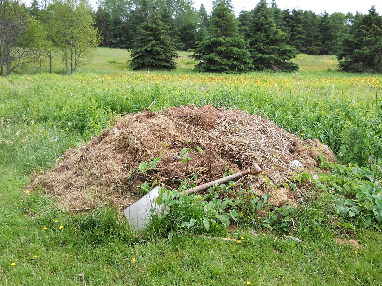Canoe Corner: The New Compost Bin