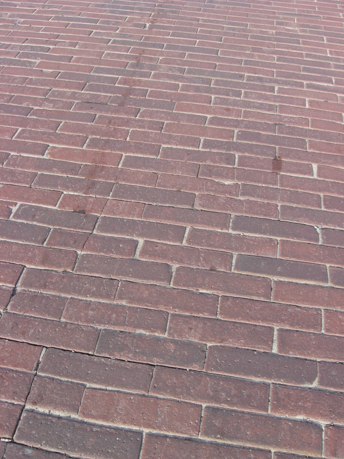 Preserving Shoreline: Patterns of History - The Bricks