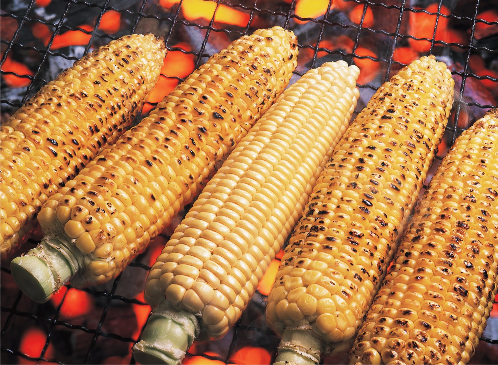 Andrea Correale's Elegant Affairs