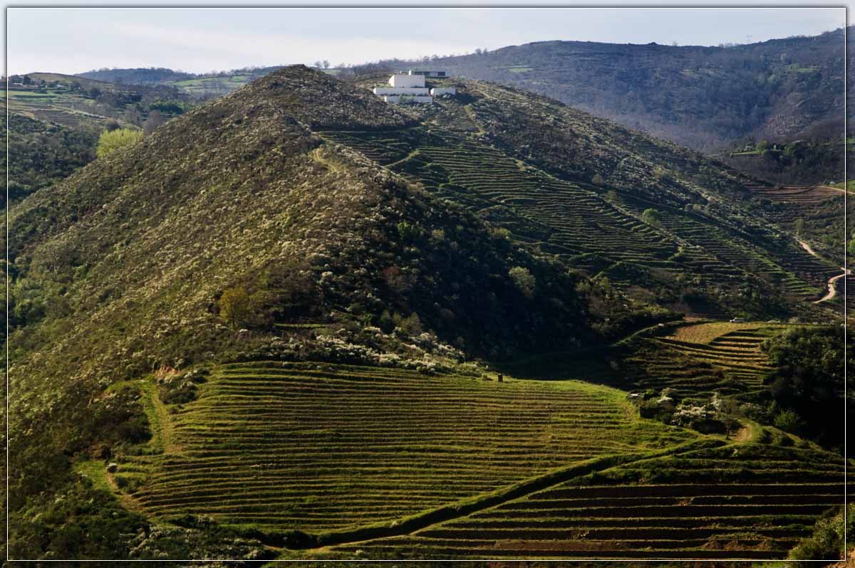 Ivinourense: Dominio do Bibei