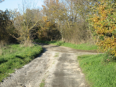 Via-andare: Le strade di campagna
