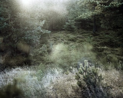 *Lovely Clusters - The Pretty Blog www.lovelyclustersblog.com: Nature ...