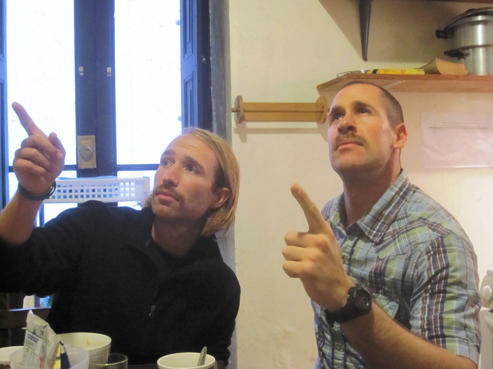 "Brand new life around the bend": Anatomy of a Moose-stache