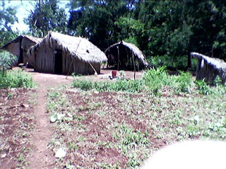 lenguaguarani: LOS MBYA GUARANI DE KA'AGUY PORÂ