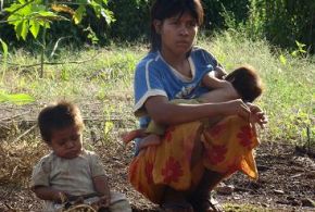 Guarani: KA'AGUY PORÂ, EL "MONTE LINDO" DE LOS GUARANI