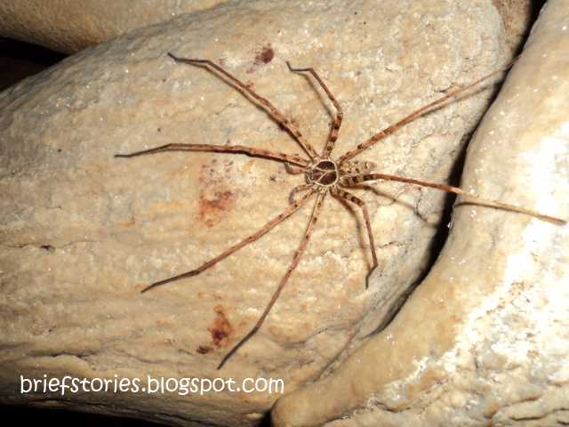 A Beginner's Journal: Spelunking in Langun-Gobingob Caves (Calbiga ...