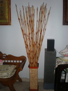 JUALAN BULUH HIASAN: JENIS - JENIS BULUH