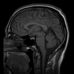 Questione della decisione: "Essere Steve Jobs": una recensione in ...