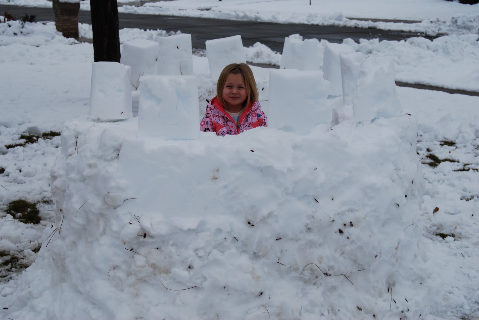THE DEMARTINI FAMILY: Cookies, Stories, Nativity Puppets and a Snow ...