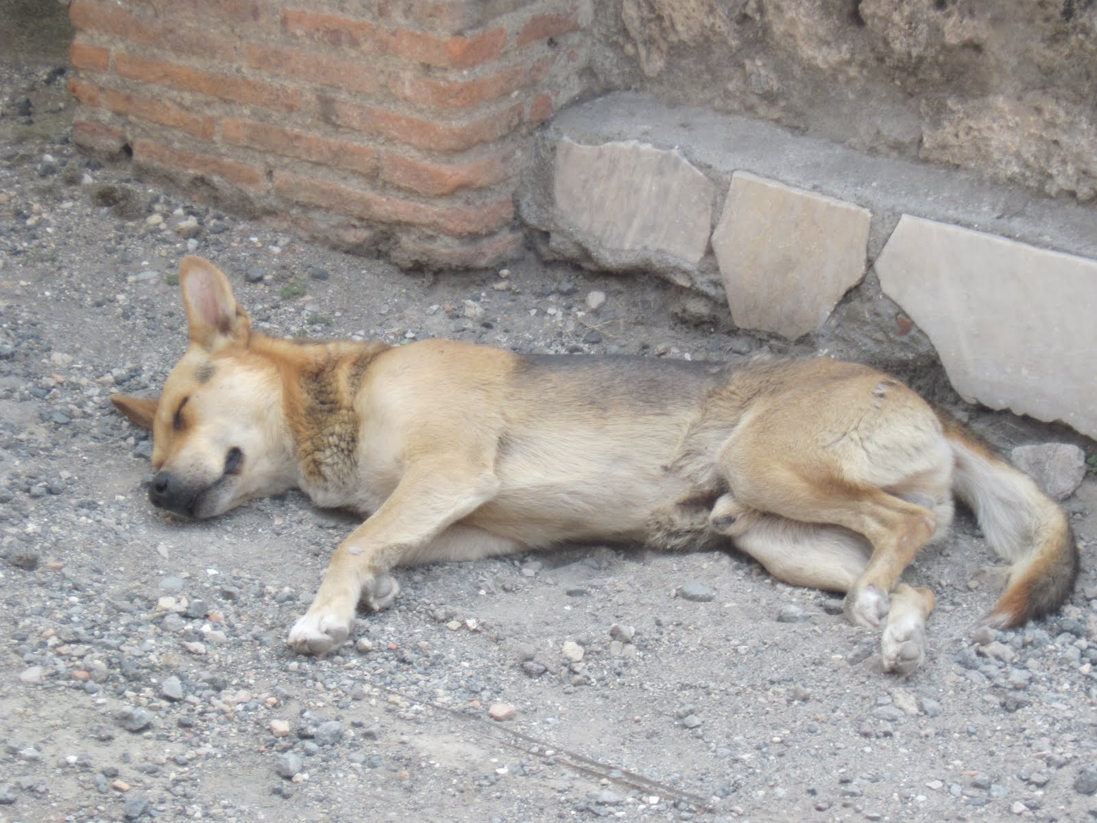 The Anne-eid: Road Trip to Pompeii and Herculaneum