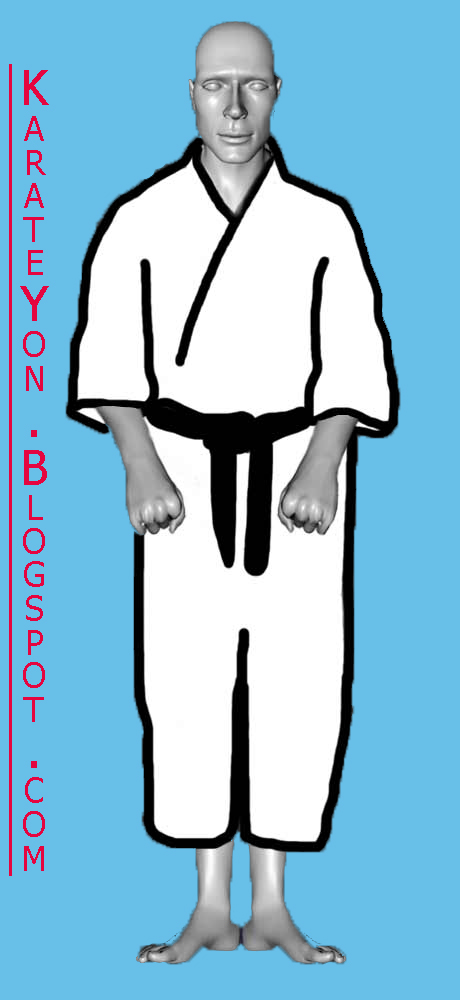 TECHNIQUES GOJU RYU|KarateYon