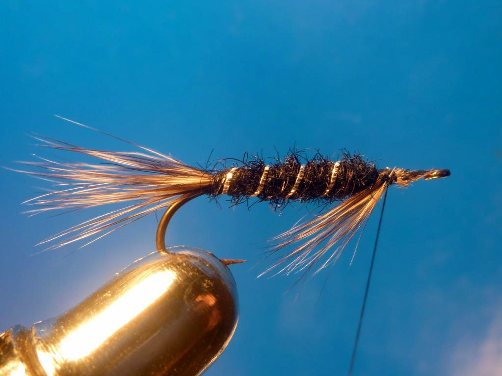 Western-Fly: Doc Spratley