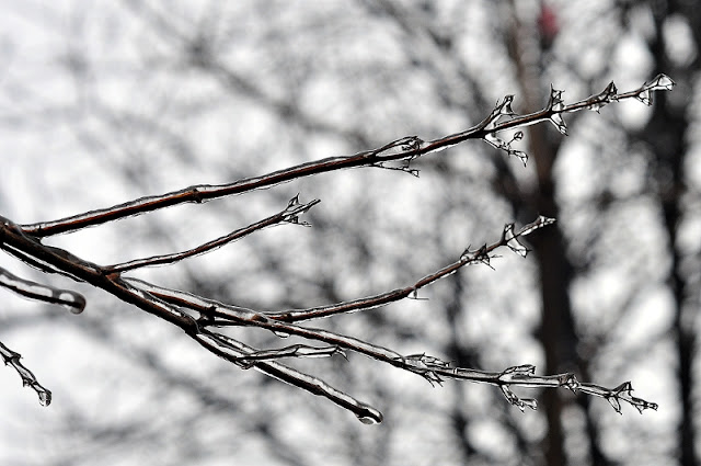 Writings on my Wall: Să vorbim despre vreme.