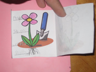 My Crazy Life of Homeschooling: Flower Lapbook