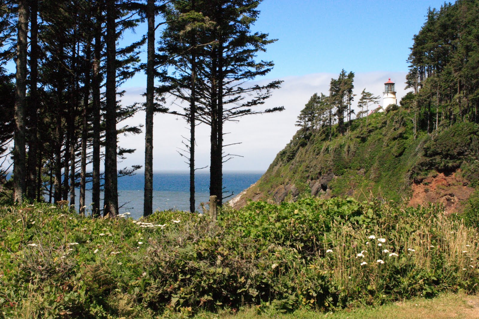 Nelda Mays Photography, Inc.: Traveling the Northwest United States