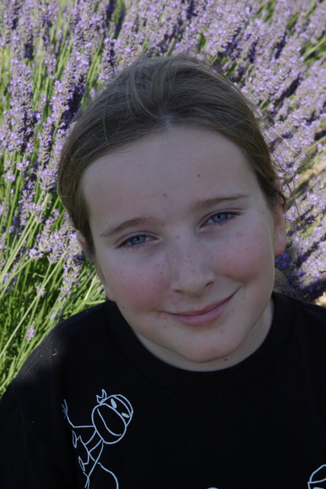 Nelda Mays Photography, Inc.: Lavender Valley, Hood River, Oregon