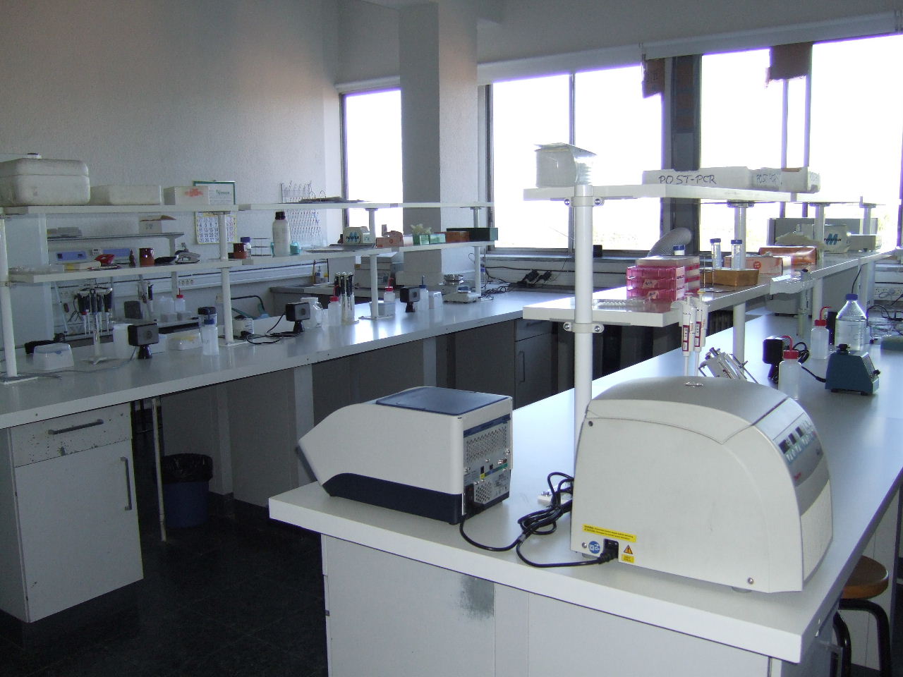 BIÓLOGO Y BECARIO: Mi laboratorio, dos años más tarde...