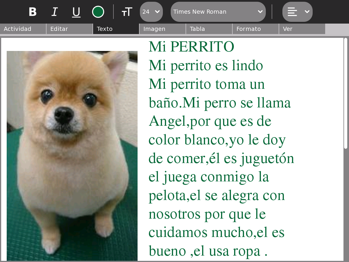 Experiencia con mi xo: Redacciones recordando el día del animal