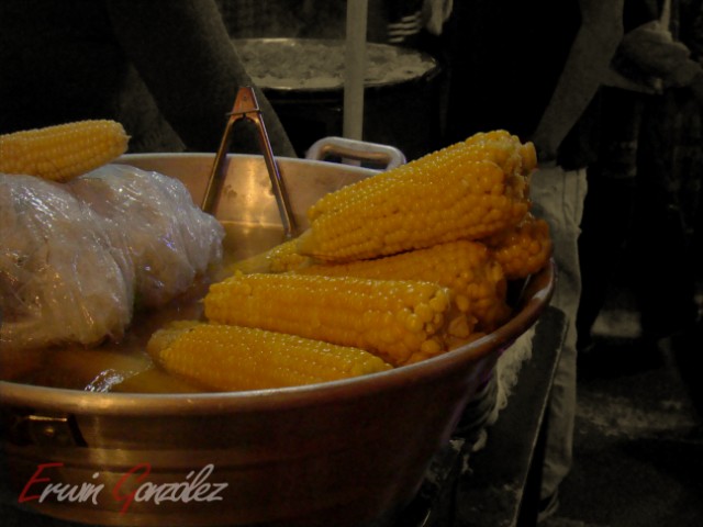 Erwin Gonzalez: ELOTES