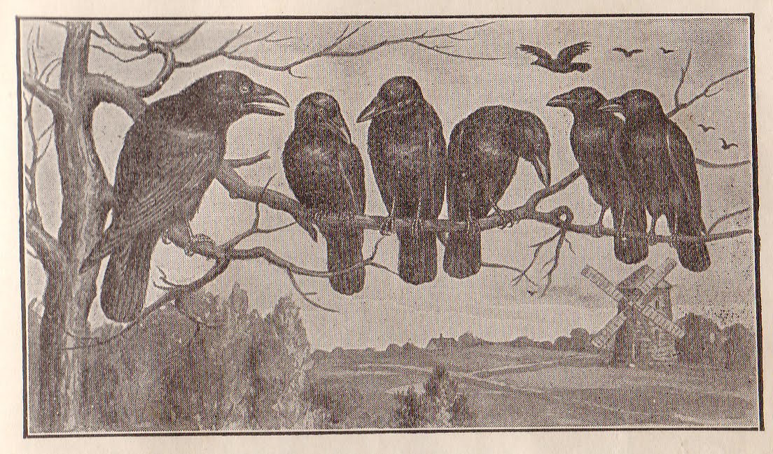 Arachneas Attic: Vintage Crows in a Line