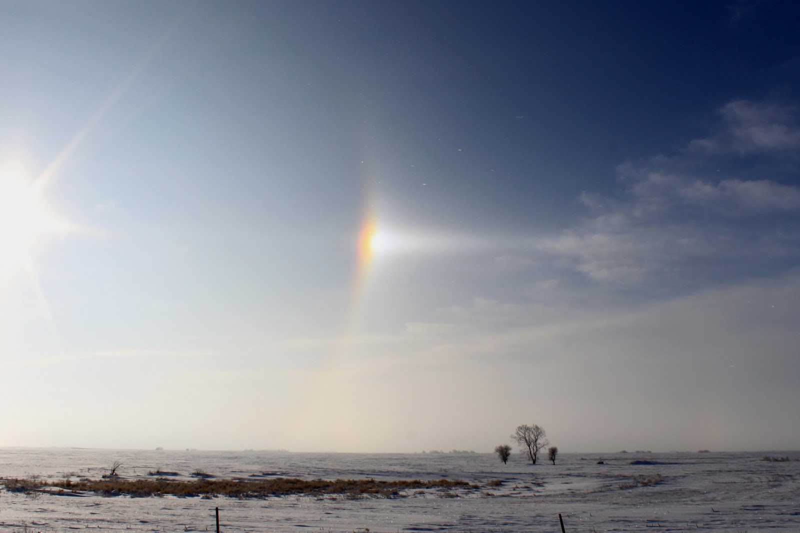 Still Life With Birder: Sun Dogs