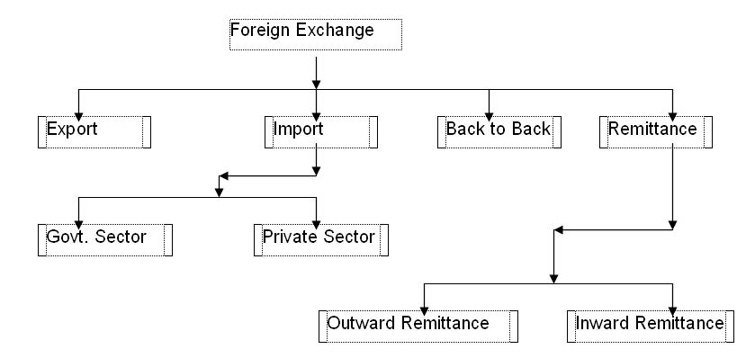 ETCETERA: FOREIGN EXCHANGE TRANSACTIONS & INTERNATIONAL TRADE FINANCING