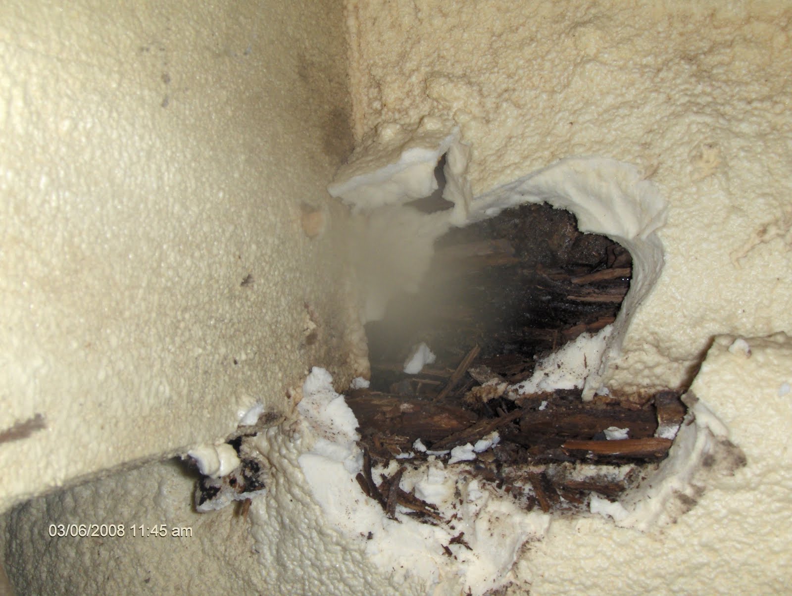 Spray Foam Insulation Rot | Foam Insulation Tips