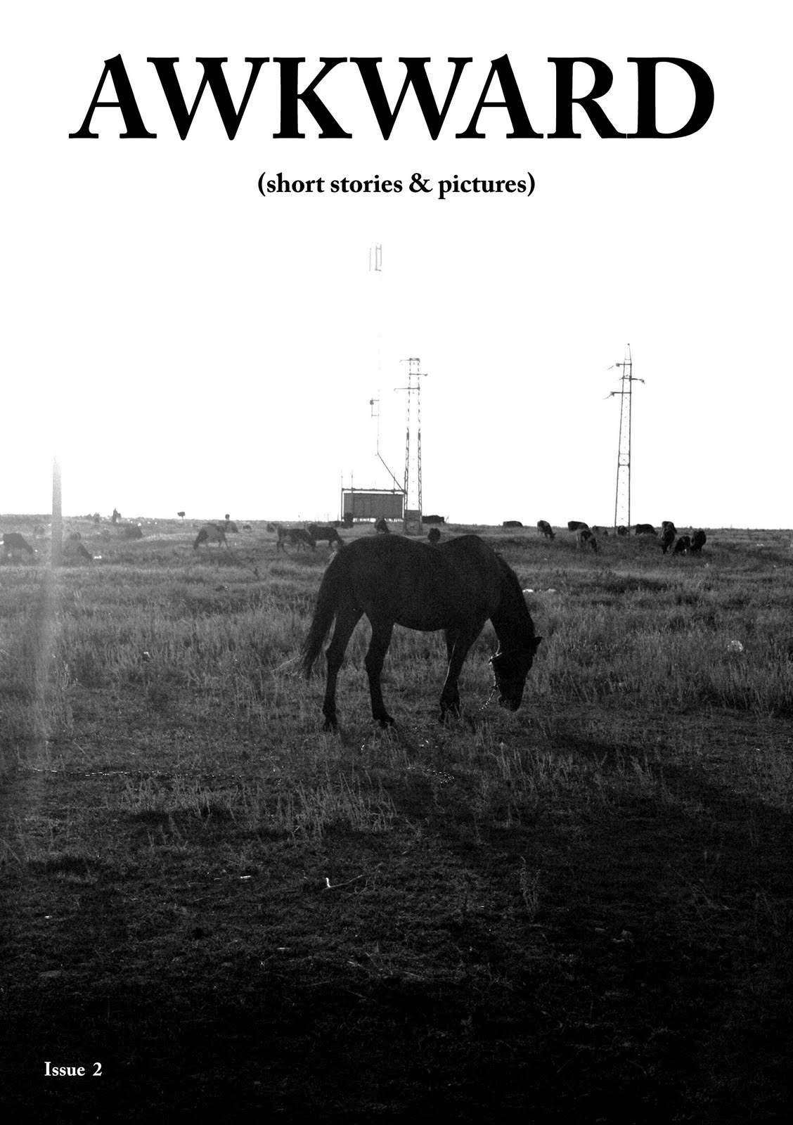 AWKWARD Magazine: April 2010