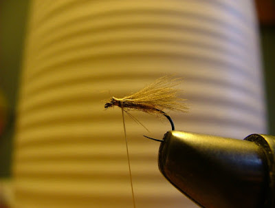 GLEN POINTON FLY FISHING BLOG 'LIVING THE DREAM': LTD Sedge pattern ...