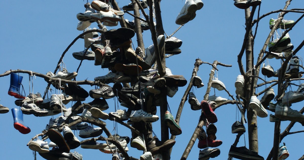 Victoria Daily Photo: Shoe Tree