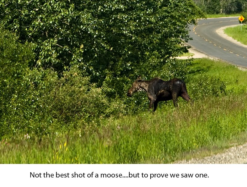 Monday June 21, Prophet River Camp, BC