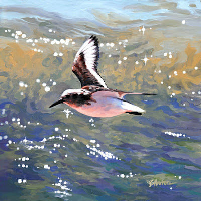 Barbara Harmon Daily Paintings