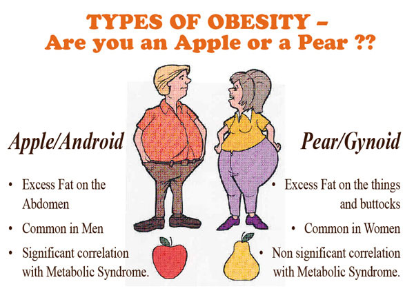 Overweight Vs Obese Whats The Difference Torrance Fat Loss Vs Weight