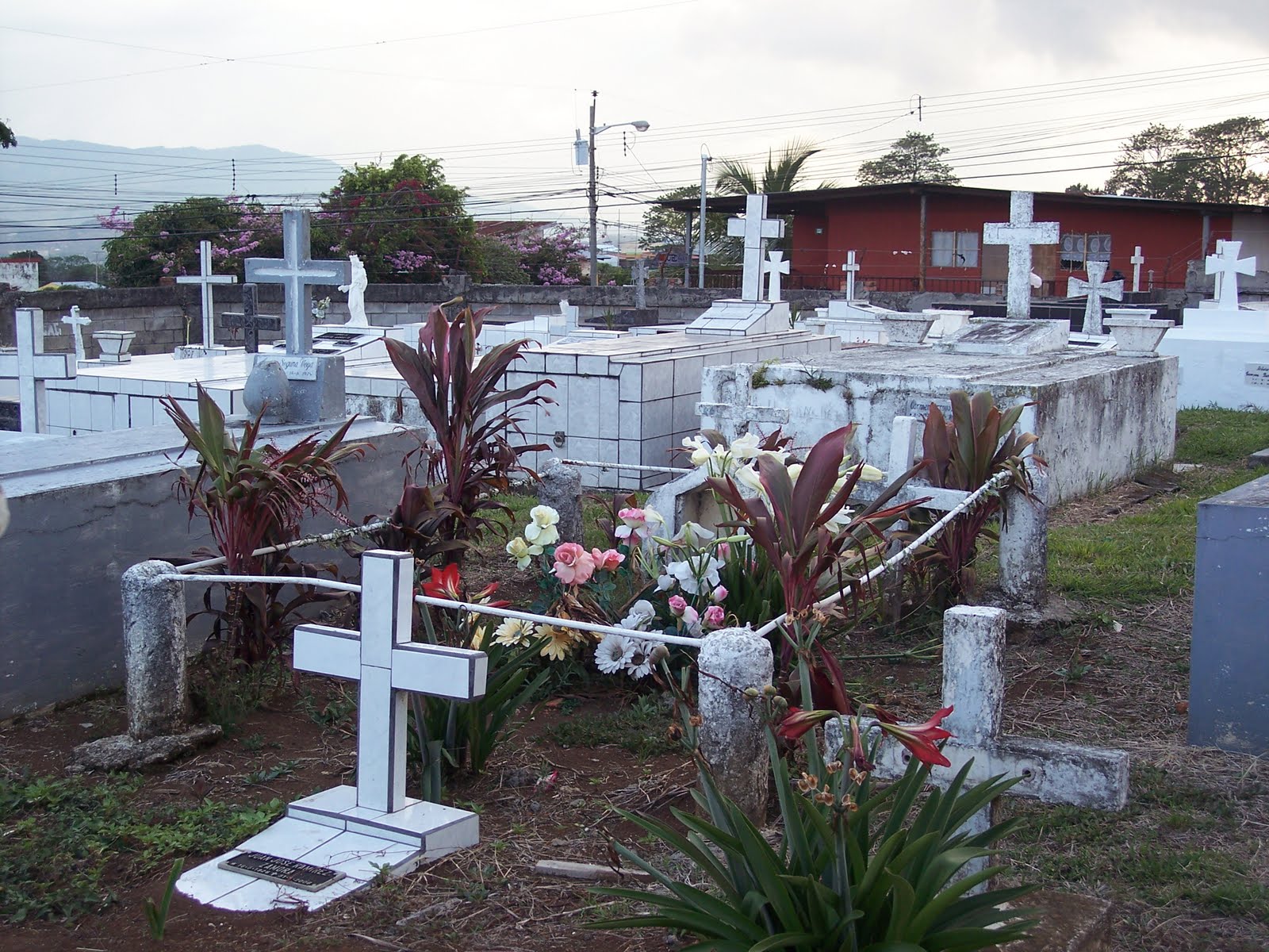 Graveyard Rabbit of South Alameda County: Wordless Wednesday ~ Cemetery ...