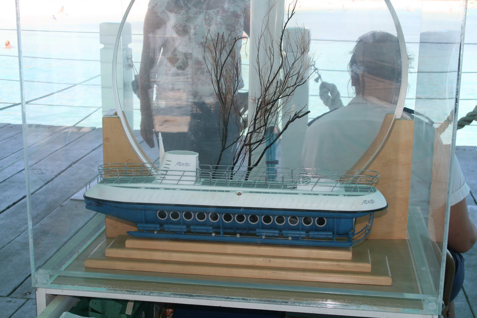 Crumpet Moves to Paradise: Atlantis Submarine