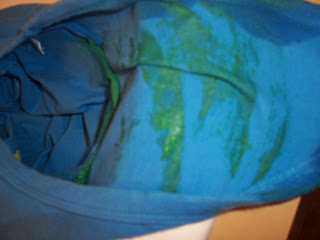 The Clark Family: Blue Ice Cream = Green Poop