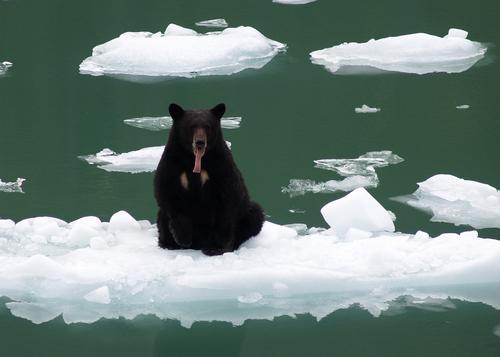 photography | Sma' Talk Wi' T