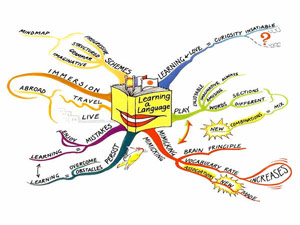 Mind Mapping merupakan alat untuk MERINGKAS yang EFEKTIF!