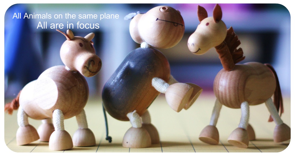 Focus Points Photography Tip with Hoot Photography - Mom Endeavors