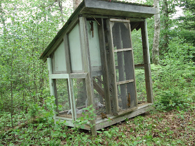 Atlantic Wildlife Institute Photo Blog: Squirrel Release