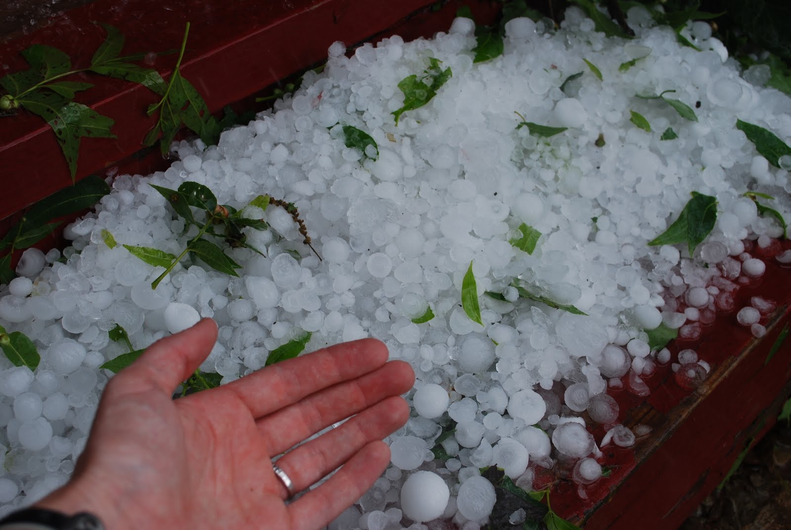 Team Wilson OKC: What The Hail!