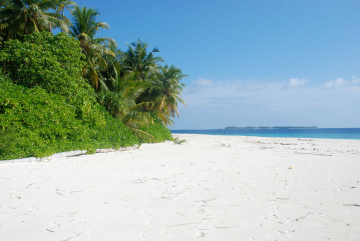 A local experience in Maldives at affordable rates: Kudahuvadhoo Island ...