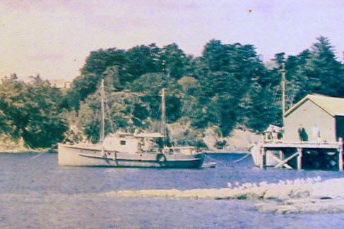 Gunner Goes South: Gunner's History