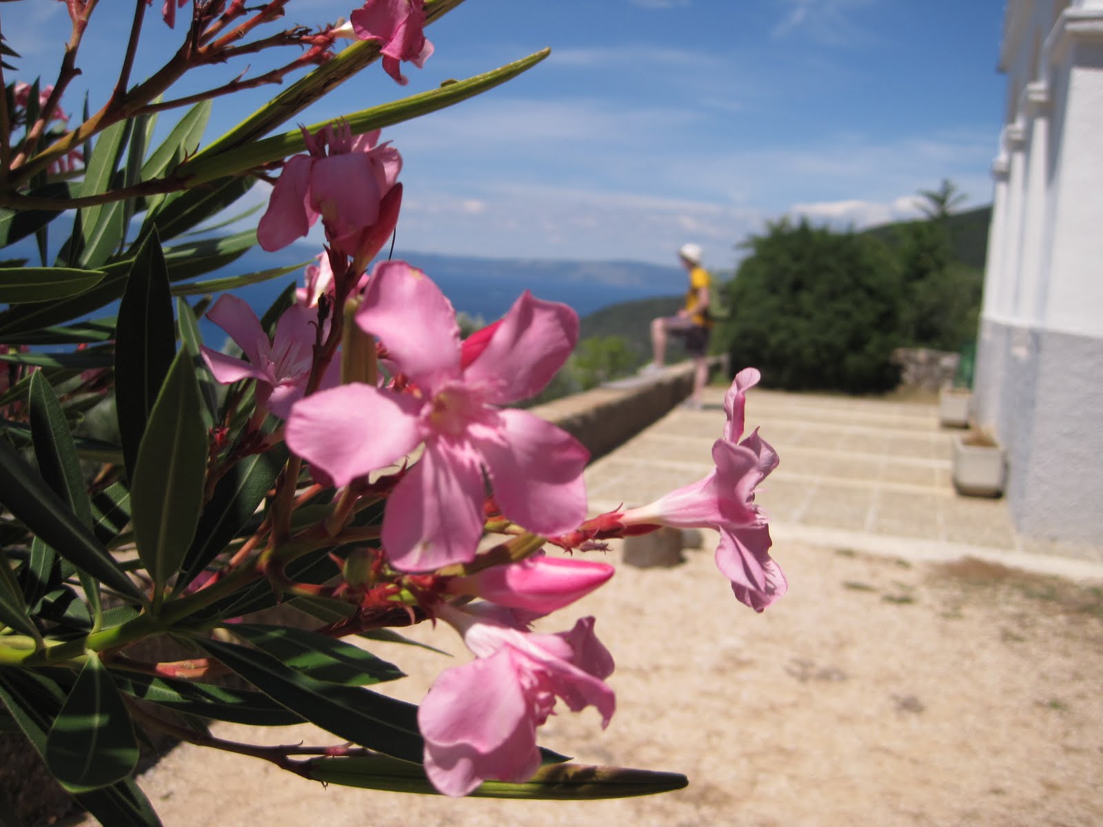 Goin' Walkabout: Croatia: Cres