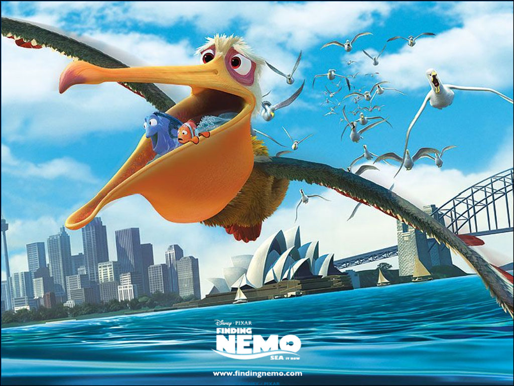Carlos Costa: Procurando Nemo