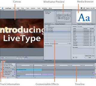 chesca ferrari - personal blog - group 2