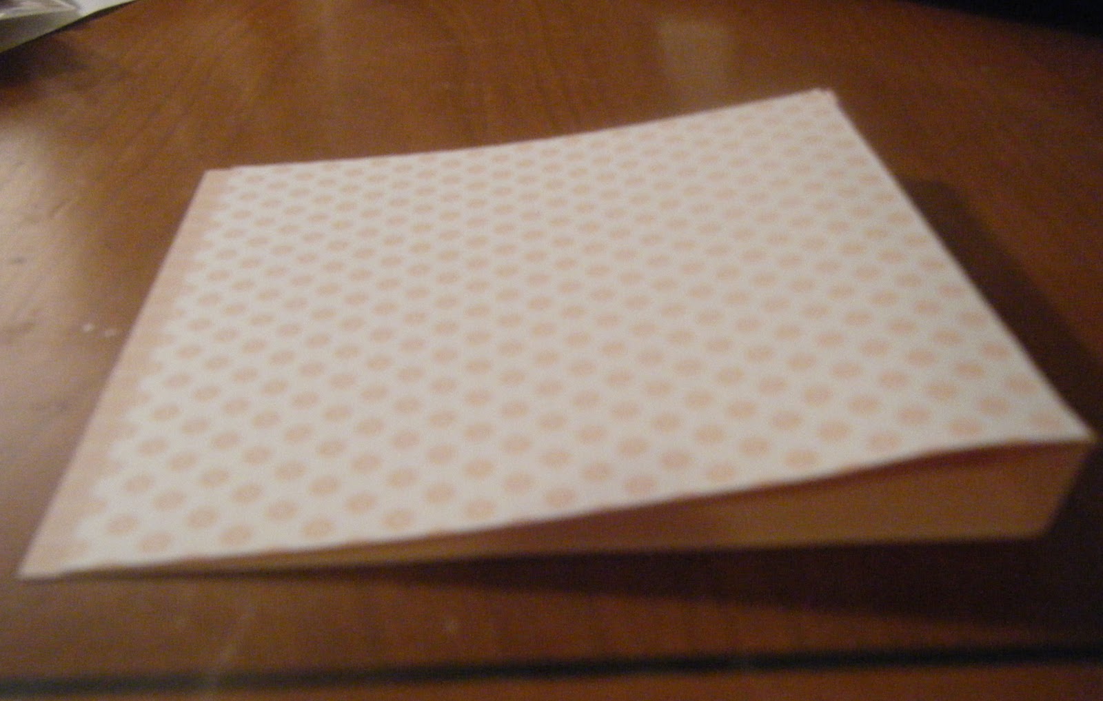 Cute and Some: A PRETTY LITTLE CD/DVD WALLET