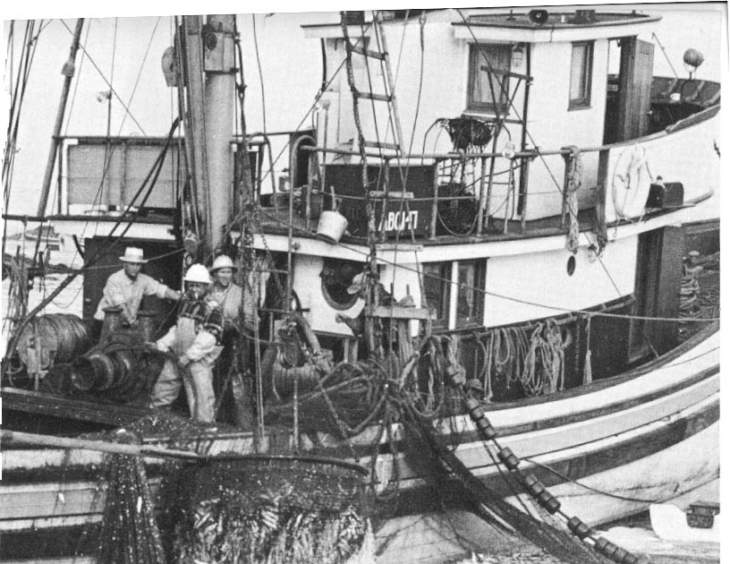 Word Traveler: "Start Brailing!"