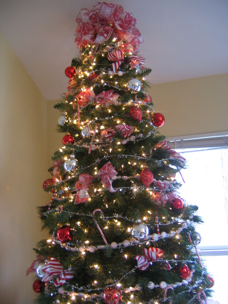 A Feathered Nest: My Peppermint Tree