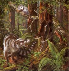 Ari Flaz: Periodisasi Terbentuknya Bumi